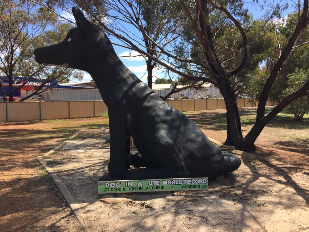 SHIRE OF CORRIGIN - Updated May 2024 - Lynch St, Corrigin Western ...