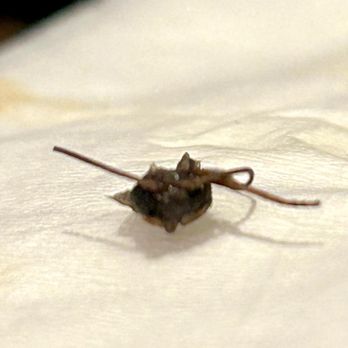 BOILING POINT - Updated November 2024 - 197 Photos & 94 Reviews - 315 S ...