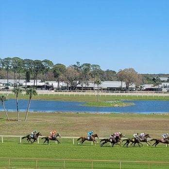 TAMPA BAY DOWNS - Updated December 2025 - 158 Photos & 94 Reviews ...