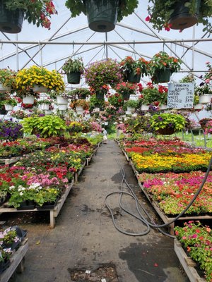 DUTTON FARM STAND - Updated June 2025 - 26 Photos - 2083 Depot St ...