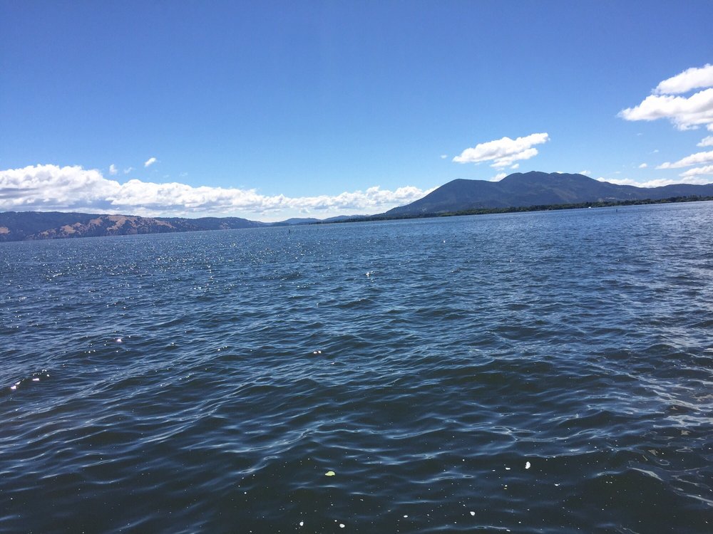 City of Lakeport - 64 Photos - Public Services & Government - 225 Park ...