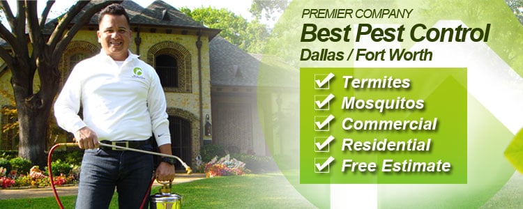 ECOZONE PEST SOLUTIONS - Updated October 2025 - 1115 Trinity View St ...