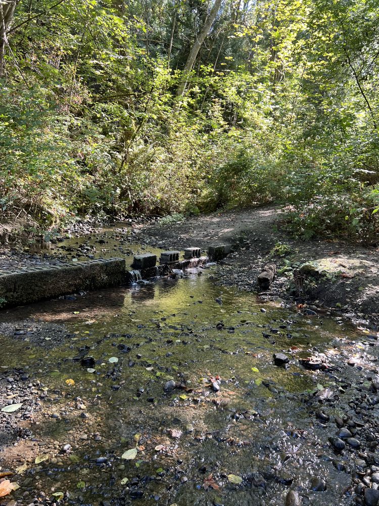 LAKERIDGE PARK - Updated October 2025 - 13 Photos - 10201 Holyoke Way S ...