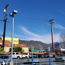 DEPARTMENT OF MOTOR VEHICLES - 109 Photos & 591 Reviews - 49 S Rosemead ...