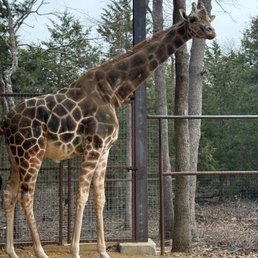 OAK MEADOW RANCH FEATURING THE WHITEHORSE STEAKHOUSE - Updated December ...