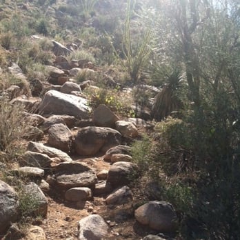 WILD BURRO TRAILHEAD - Updated August 2025 - 14810 N Secret Springs Dr ...