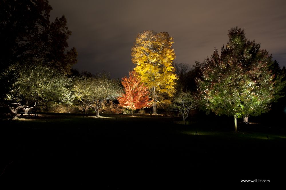 WELL LIT LANDSCAPE LIGHTING - Norwalk, Connecticut - Landscape ...