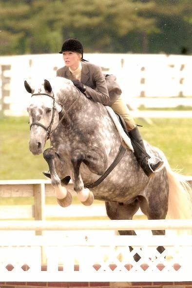 TRUE BLUE FARM - Updated December 2025 - 630 Myakka Rd, Sarasota ...