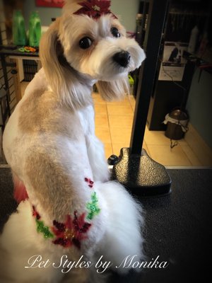 PET STYLES BY MONIKA - 74 Photos & 23 Reviews - Pet Groomers - 151 ...