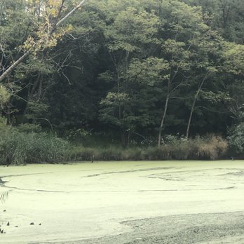 CLAY PIT PONDS STATE PARK PRESERVE - Updated July 2025 - 61 Photos ...