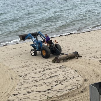 TOP MAST RESORT - Updated December 2025 - 57 Photos & 51 Reviews - 209 ...