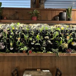 XACALLI KITCHEN - Updated September 2025 - 350 Photos & 213 Reviews ...