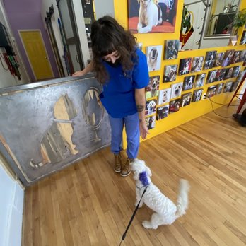 K-9 SMILES - Updated November 2025 - 63 Photos & 77 Reviews - 80 Garden ...