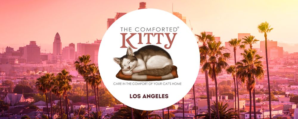 THE COMFORTED KITTY - Updated June 2025 - 237 Photos & 57 Reviews - Los ...