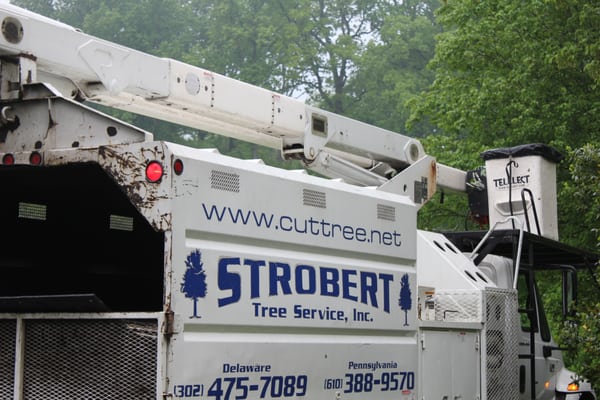 STROBERT TREE SERVICES - Updated October 2025 - 28 Photos & 47 Reviews - 1806 Zebley Rd ...