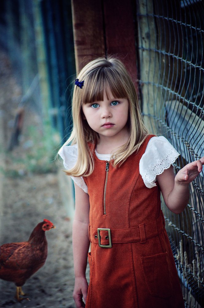 IMAGES BY KRISTI AND PAUL WOLVERTON - Updated June 2025 - 30 Photos ...