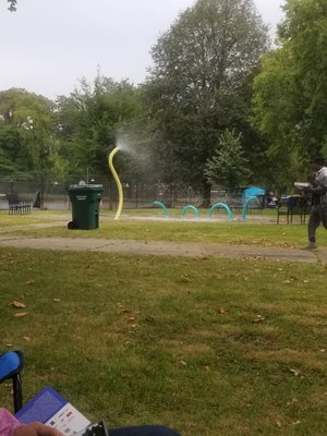 HAMILTON PARK - Updated May 2025 - 513 W 72nd St, Chicago, Illinois ...