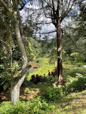 WAI KOA LOOP TRAIL - Updated August 2025 - 171 Photos & 41 Reviews - 5 ...