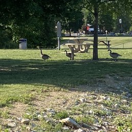 THE DAM LANDING - Updated October 2025 - 100 Photos & 78 Reviews - 1305 ...