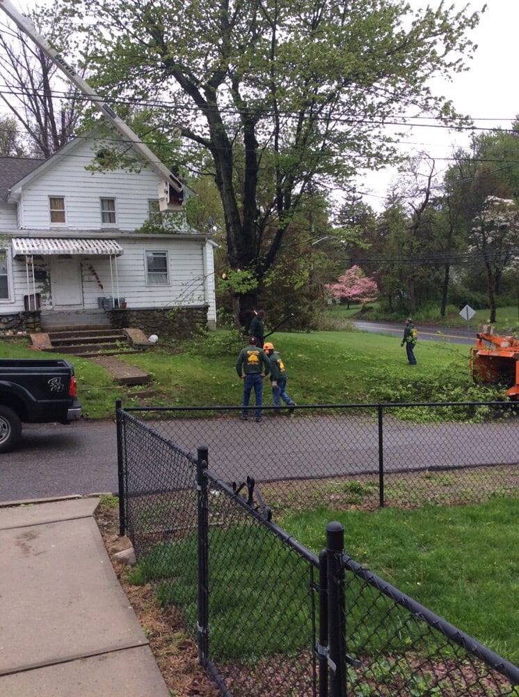 SARVIS TREE SERVICE - Updated December 2025 - 7 Longabucco Ct, Pearl ...