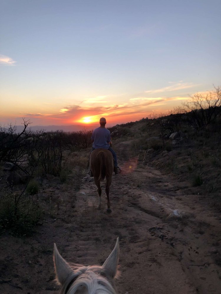 HORSE TRAIL RIDES - Updated July 2025 - Jamul, California - Horseback ...