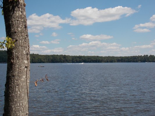 DRAKE FIELD - 27 Photos - 151 Willowbend Rd, Peachtree City, Georgia ...