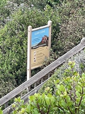 GOFF ISLAND COVE - Updated December 2025 - 28 Photos - Laguna Beach ...