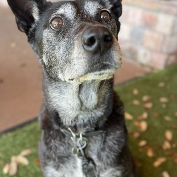 BIRDIE’S EASTSIDE - Updated June 2025 - 219 Photos & 185 Reviews - 6221 ...