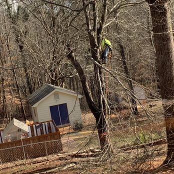 AKA TREE SERVICE - Updated September 2025 - 70 Photos & 41 Reviews ...