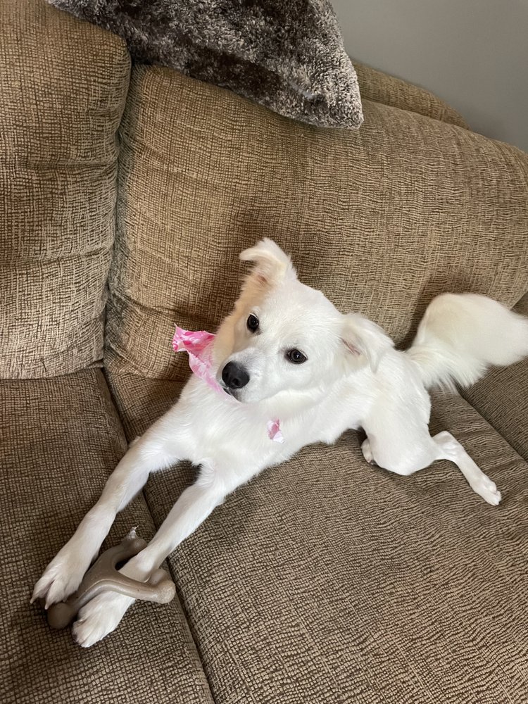 MUTT CUTTS - Updated October 2025 - 487 East New Circle Rd, Lexington ...