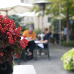 SOLE’ RESTAURANT - Updated January 2026 - 77 Photos & 67 Reviews - 83 ...