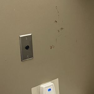 BAYCARE NORTHSIDE BEHAVIORAL HEALTH CENTER - Updated June 2025 - 12512 ...