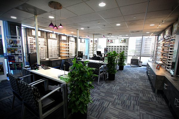 MITTLEMAN EYE - Updated July 2025 - 33 Photos & 86 Reviews - 2000 Palm ...