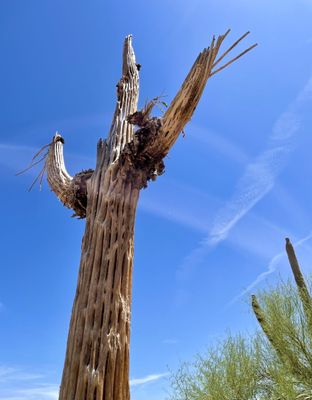 WHITE TANK LIBRARY - Updated December 2025 - 104 Photos & 43 Reviews ...