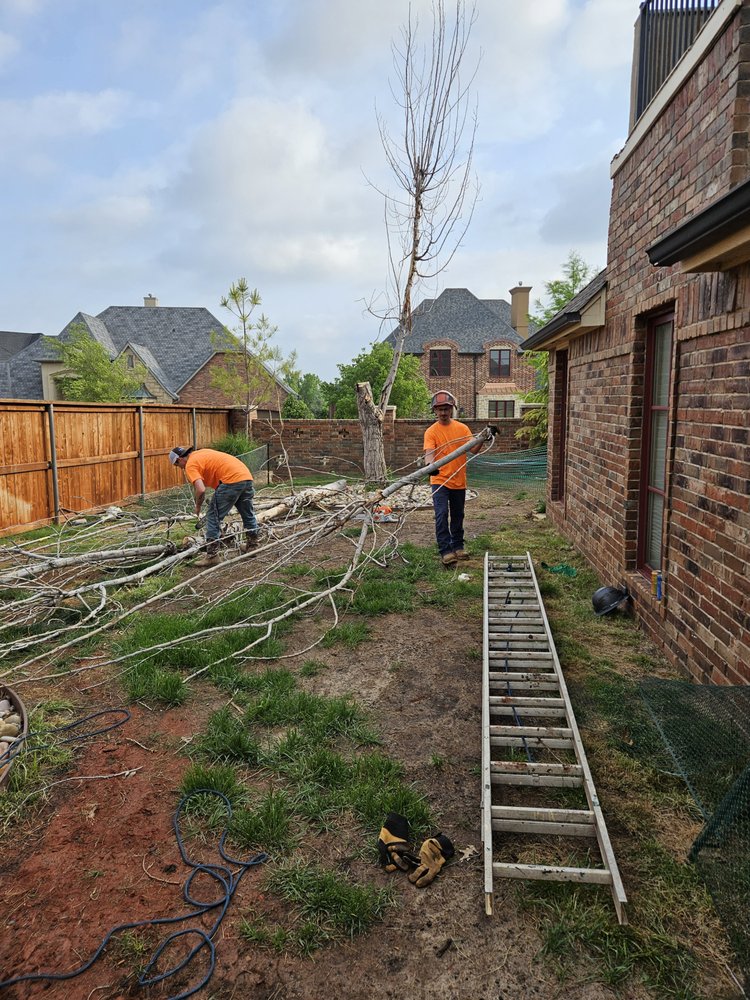 TREE F8 TREE SERVICE - Updated July 2025 - 34 Photos - Edmond, Oklahoma ...