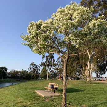 TRI-CITY PARK - Updated May 2024 - 449 Photos & 123 Reviews - 2301 N ...