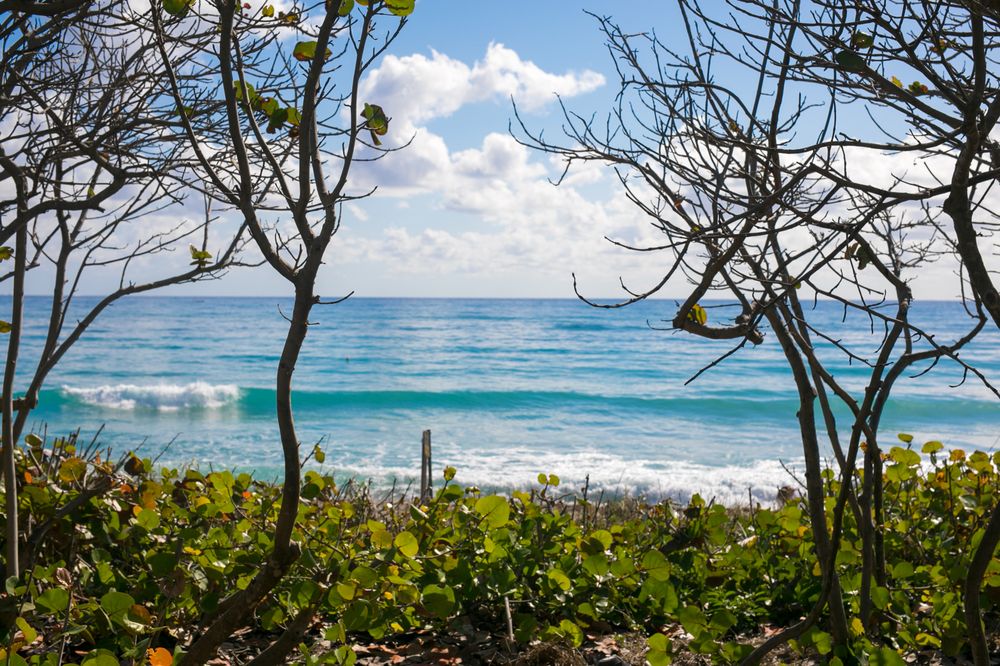 BOB STANGE-THE KEYES COMPANY REALTORS - 11290 Legacy Ave, Palm Beach ...