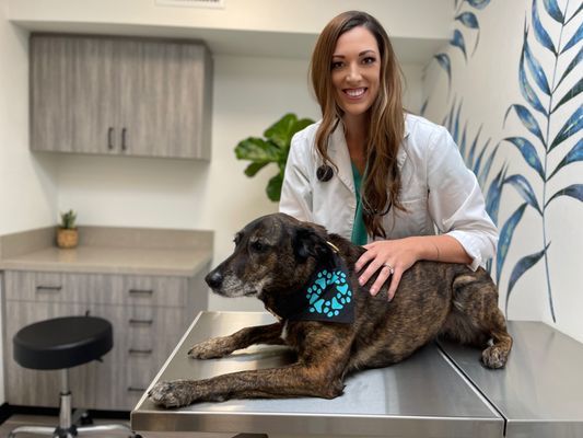 URGENT VETERINARY CARE OF SANTA BARBARA - Updated April 2025 - 20 ...