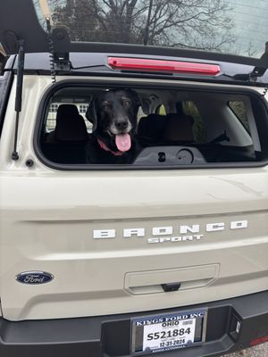 KINGS FORD - Updated December 2025 - 32 Photos & 85 Reviews - 9555 ...