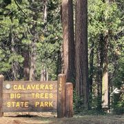 CALAVERAS BIG TREES STATE PARK - 1057 Photos & 336 Reviews - 1170 E Hwy ...