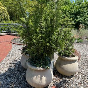 JC RAULSTON ARBORETUM - 556 Photos & 99 Reviews - 4415 Beryl Rd ...