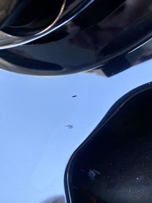 LOPER’S PERFORMANCE CENTER - Updated December 2025 - 29 Photos & 41 ...