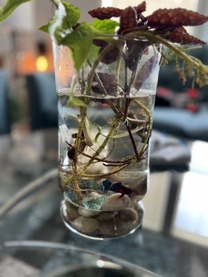 NEIGHBORHOOD FISH FARM - Updated September 2025 - 76 Photos & 73 ...