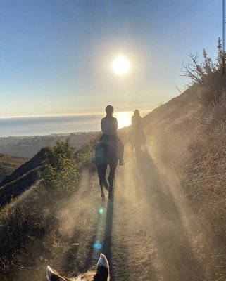 MALIBU RIDERS - Updated April 2024 - 694 Photos & 641 Reviews - Los ...