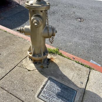 THE GOLDEN FIRE HYDRANT - Updated July 2025 - 52 Photos & 14 Reviews ...