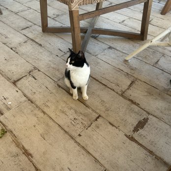 SALT SHACK - Updated December 2025 - 57 Photos & 43 Reviews - 5 Estate ...