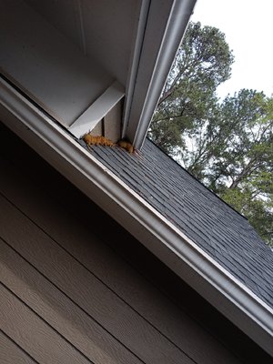 FINDLAY ROOFING - Updated October 2025 - 38 Photos & 119 Reviews - 4181 ...