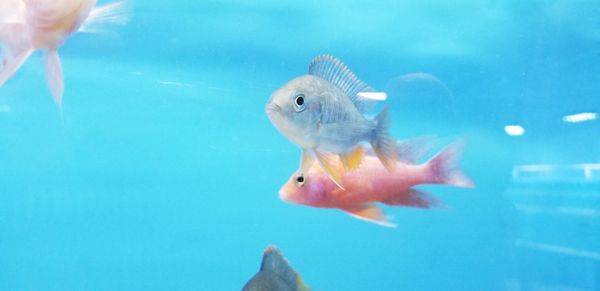 STRICTLY REEF - 75 Photos & 46 Reviews - 907 W Moana Ln, Reno, NV - Yelp