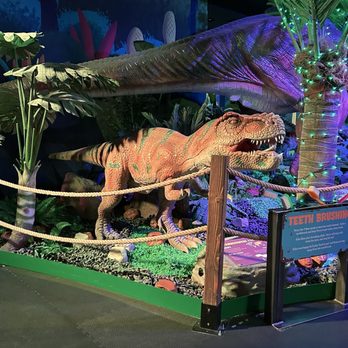 DINOSAUR OUTPOST - Updated July 2025 - 32 Photos & 19 Reviews - 6569 S ...