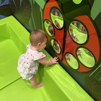 COOK MUSEUM OF NATURAL SCIENCE - Updated December 2025 - 68 Photos & 27 ...